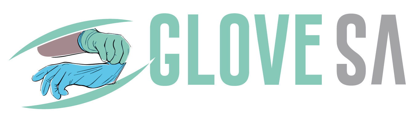 Paper Towel Roll | 2-Ply- Glove SA